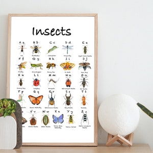 Watercolor Insects ABC Posters - Etsy
