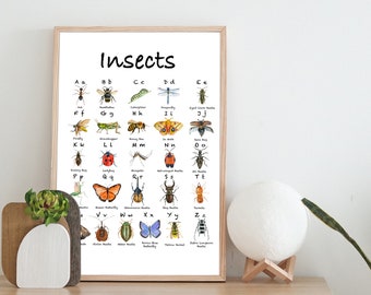 Watercolor ABC Insects Flashcards | Etsy