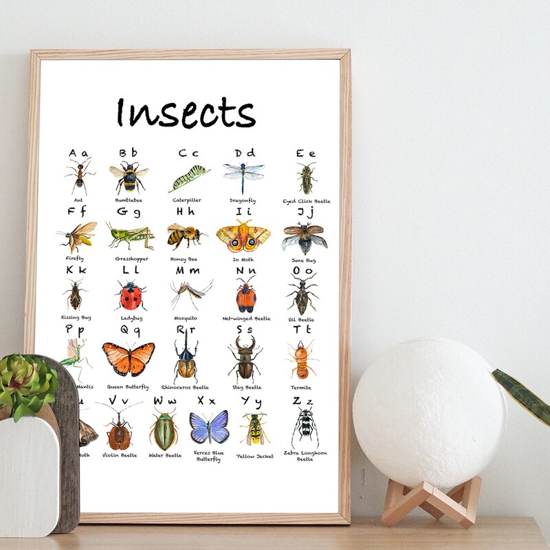 Insect Poster - Etsy