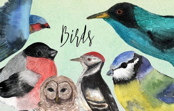 Watercolor Birds Clip Art Prints | Etsy
