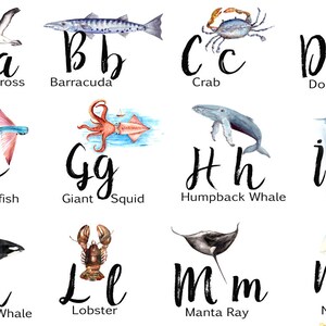 Watercolor Ocean Alphabet Poster - Etsy
