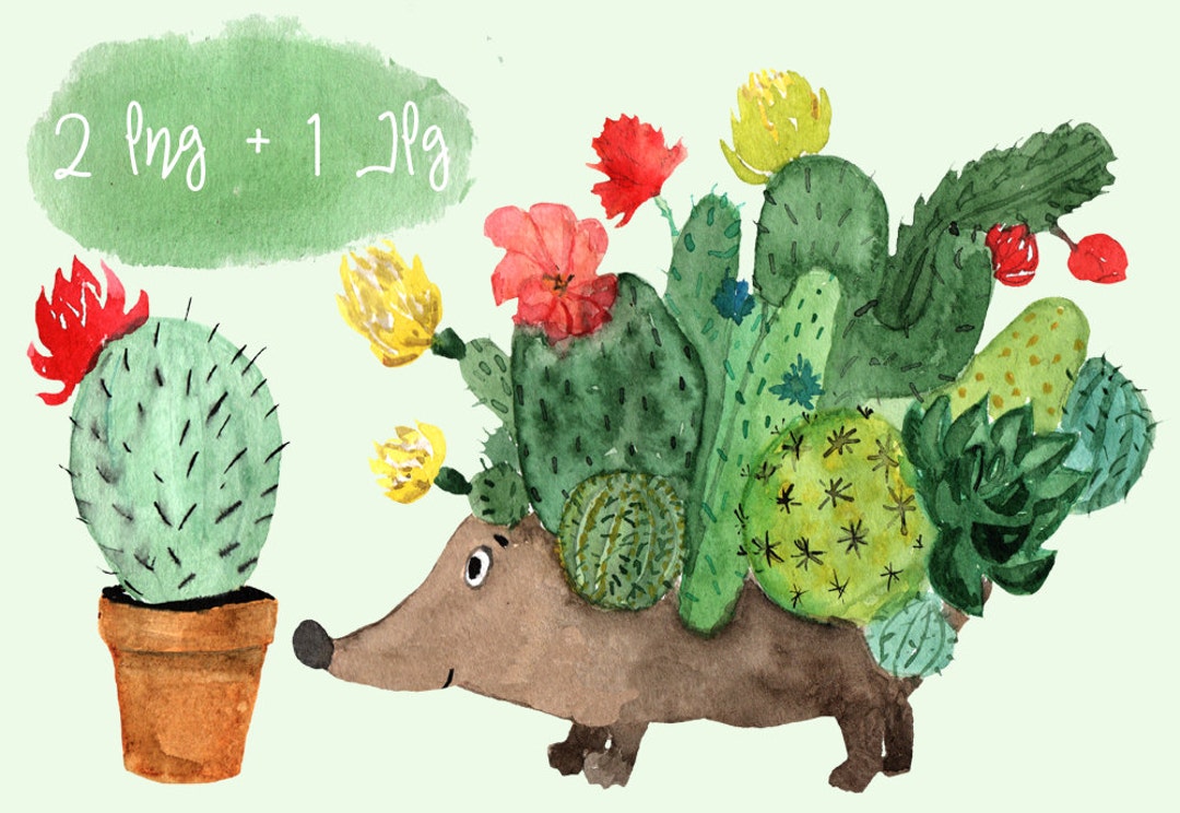 Watercolor Cactus Hedgehog PNGJPG - Etsy