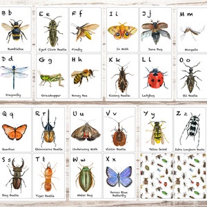 Watercolor ABC Insects Flashcards - Etsy