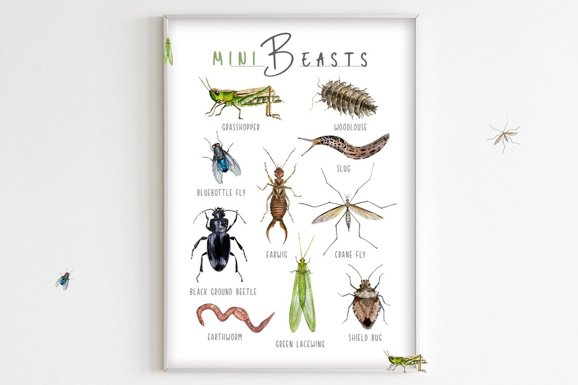 Minibeasts Watercolor Clip Arts Stickers and Poster - Etsy
