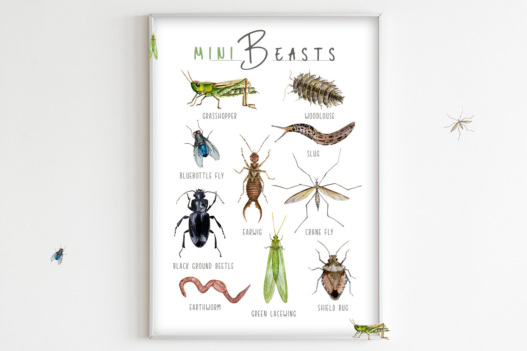 Minibeasts Aquarell Clip Arts, Sticker und Poster - Etsy.de