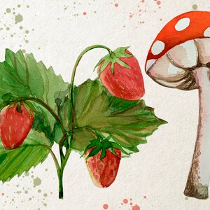 Watercolor Gnome Clip Art Set - Etsy