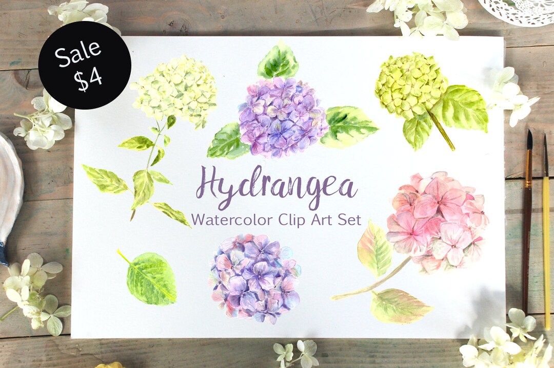 Watercolor Hydrangea Clip Art Set Bonus Wreath and Pattern - Etsy