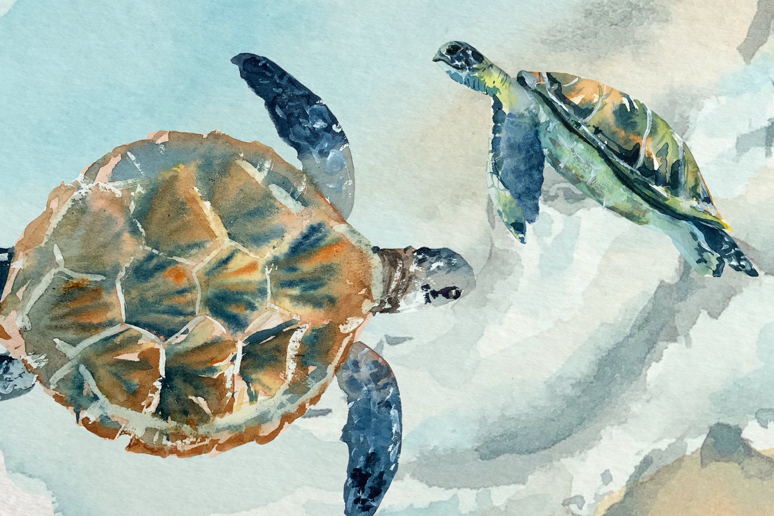 Watercolor Sea Turtle Life Cycle Clip Art and Print - Etsy