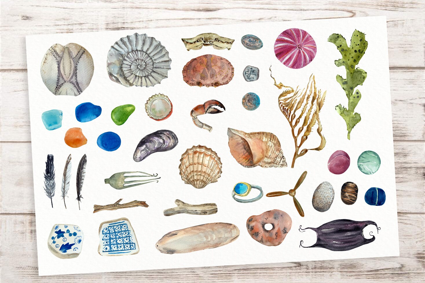 Beachcombing Clip Arts and Poster - Etsy