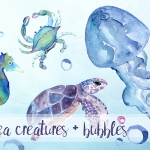 Watercolor Sea Creatures Clipart Set - Etsy