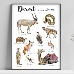 Desert Animals Watercolor Clip Art and Poster - Etsy