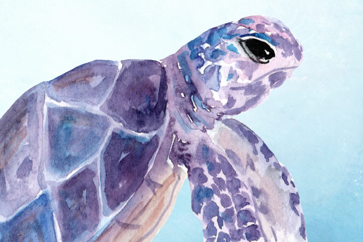 Watercolor Sea Creatures Clipart Set | Etsy