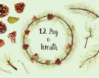 Watercolor Pine Trees Clip Art | Etsy