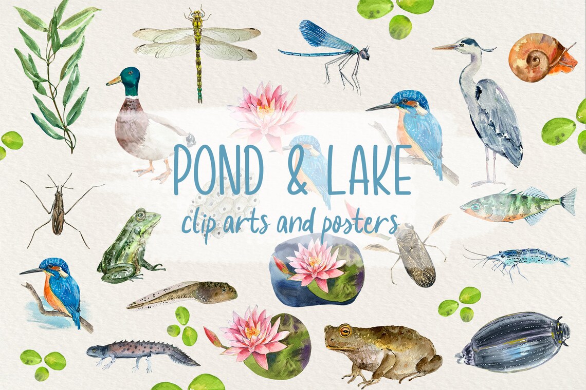 Pond and Lake Clip Arts and Posters - Etsy