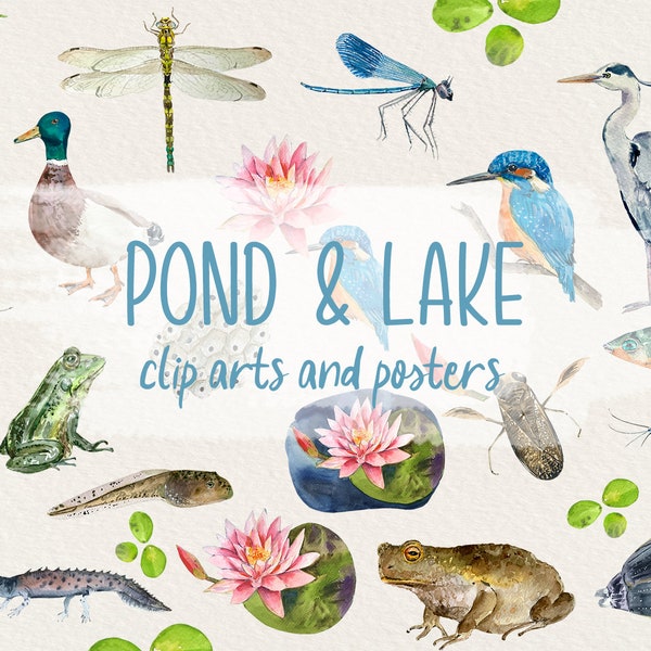 Pond - Etsy