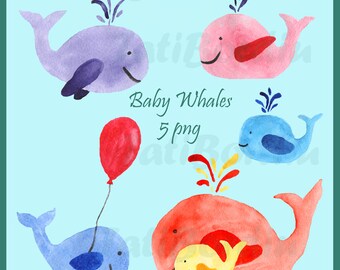 Nautical Pink Whales Clipart Digital Clip Art Personal and - Etsy