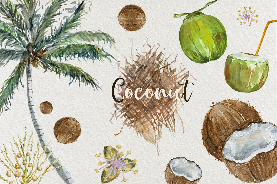 Coconut Life Cycle Clip Arts and Print - Etsy