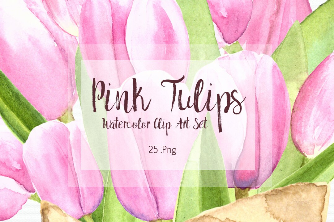 Watercolor Pink Tulips Clip Art Set - Etsy