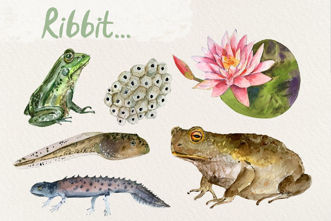 Pond and Lake Clip Arts and Posters - Etsy