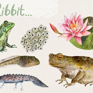 Pond and Lake Clip Arts and Posters - Etsy