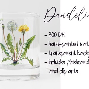Watercolor Dandelion Life Cycle Set - Etsy