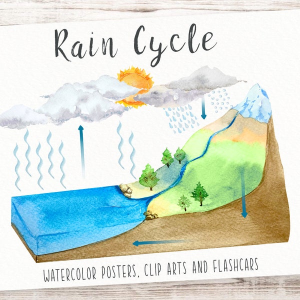 Water Cycle Poster - Etsy UK