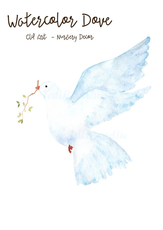 Watercolor Dove Clip Art Clipart Nursery Decor Digital - Etsy