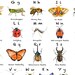 Watercolor Insects ABC Posters - Etsy