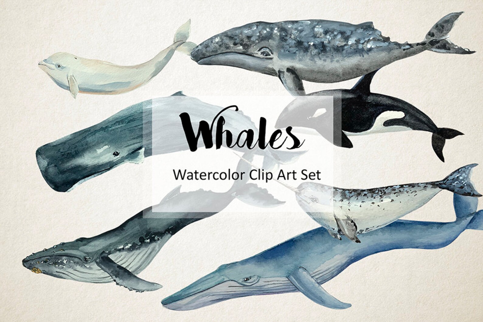 Whales Watercolor Clip Art and Print - Etsy
