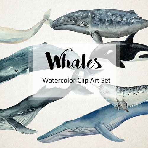 Whales Watercolor Clip Art and Print - Etsy