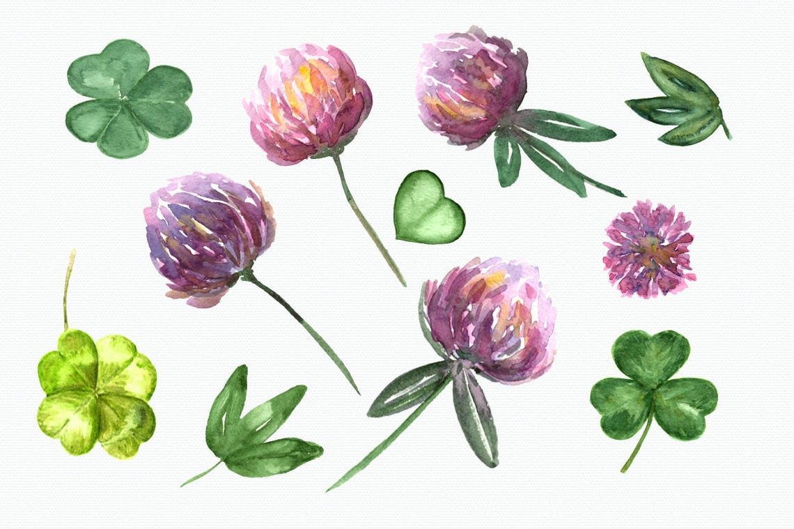 Watercolor Summer Clover Clip Art Set - Etsy