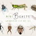 Minibeasts Watercolor Clip Arts, Stickers and Poster - Etsy