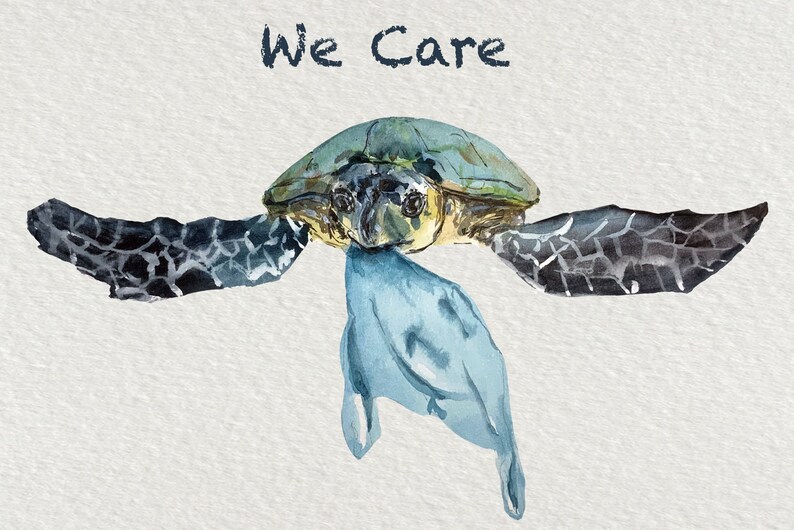 Watercolor Sea Turtle Life Cycle Clip Art and Print - Etsy