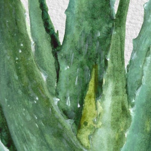 Watercolor Indoor Plants Clip Art Set | Etsy