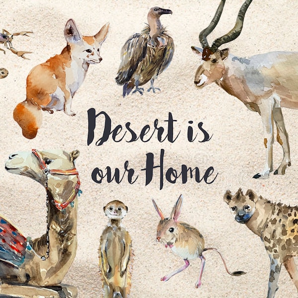 Desert Animals Clip Art - Etsy