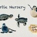 Watercolor Sea Turtle Life Cycle Clip Art and Print - Etsy