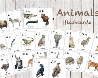 Watercolor ABC Insects Flashcards | Etsy