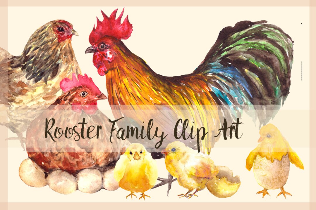 Rooster Family Watercolor Clip Art - Etsy