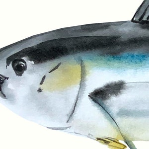 Watercolor Fishing Clip Art Set - Etsy