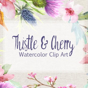 Watercolor Thistle and Cherry Clip Art Set - Etsy