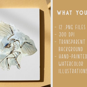 Fossils Watercolor Clip Art Set - Etsy