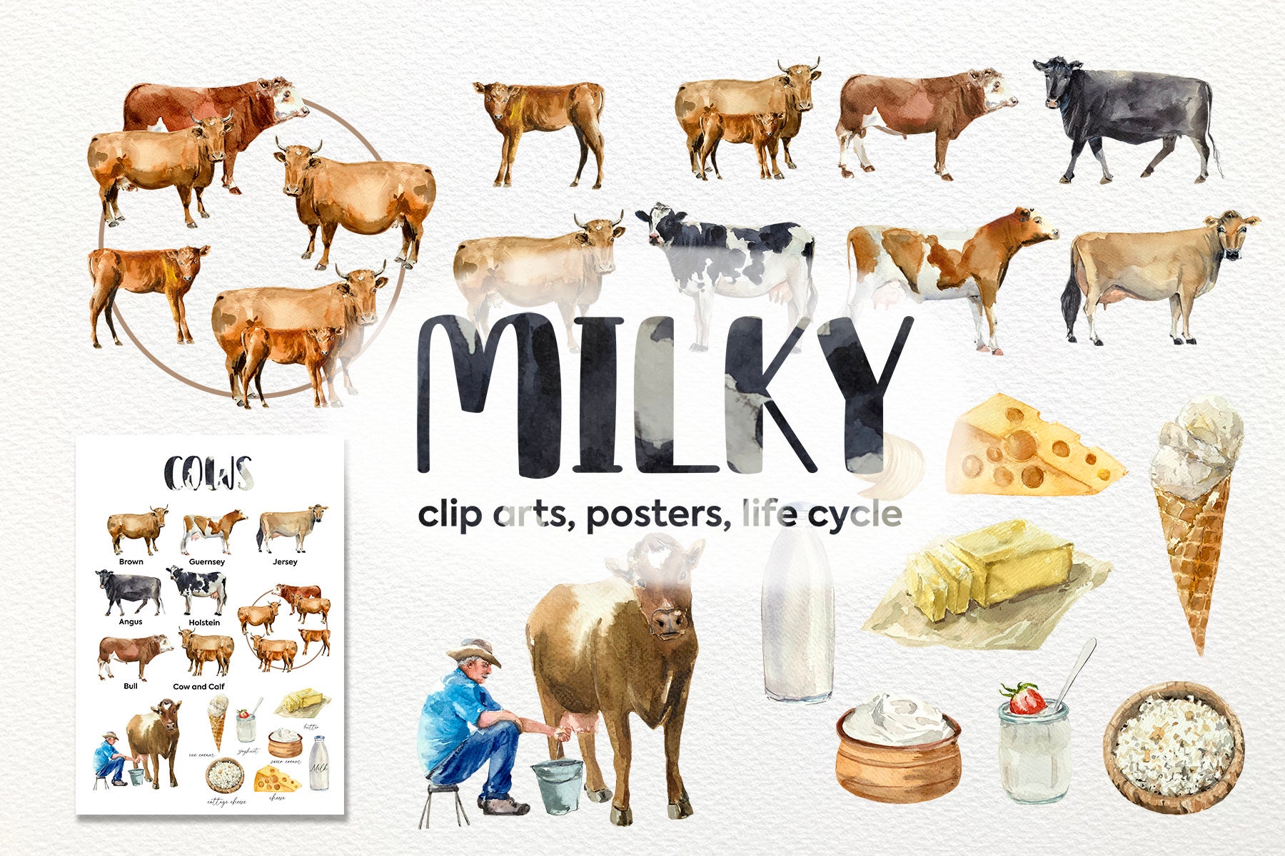 Watercolor Cow Clip Arts Posters Life Cycle - Etsy