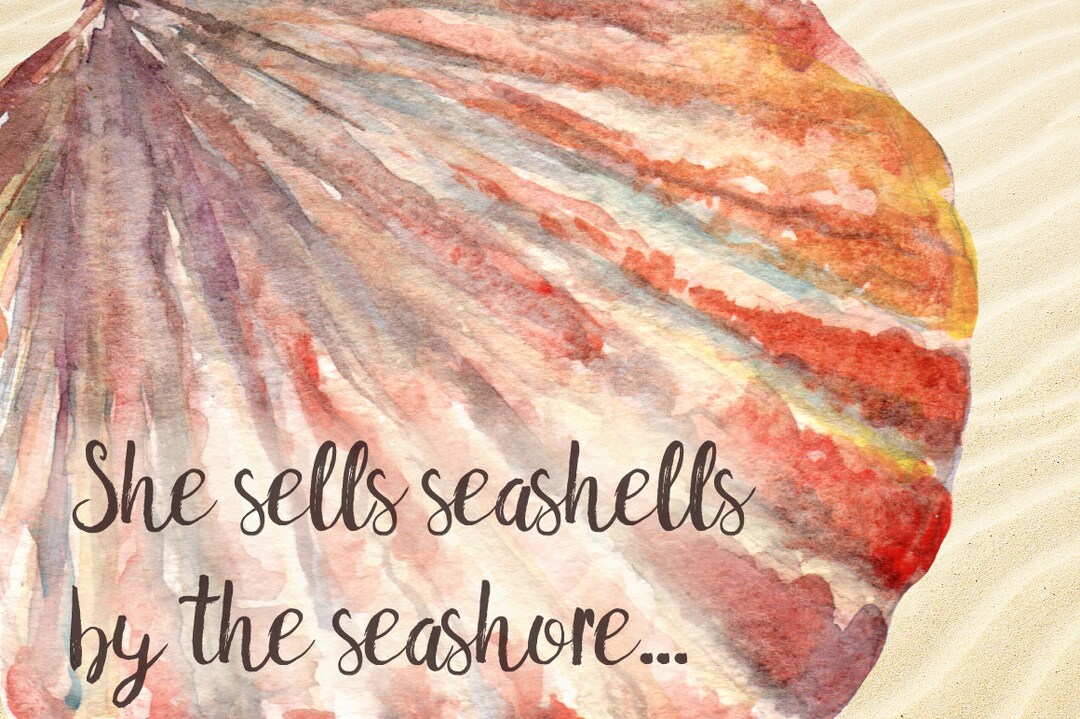 Watercolor Seashell Collection 8 Png - Etsy