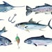 Watercolor Fishing Clip Art Set - Etsy