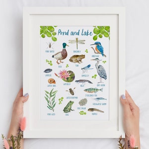 Pond and Lake Clip Arts and Posters - Etsy