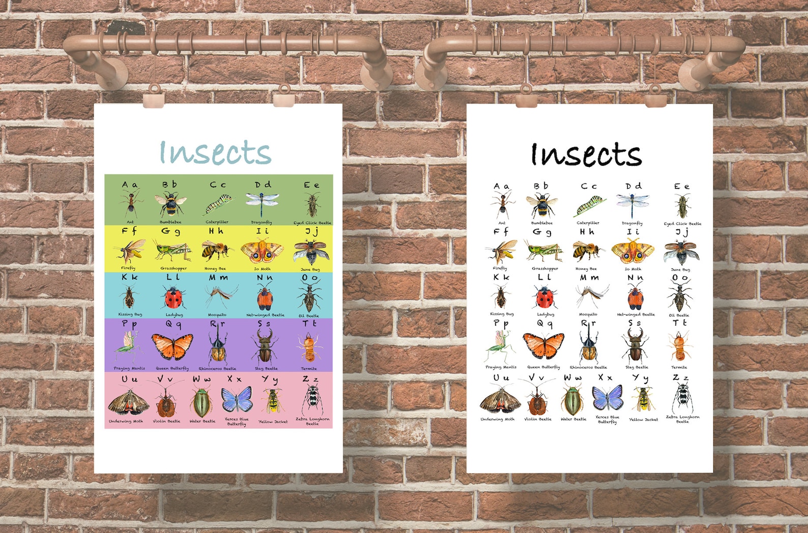 Watercolor Insects ABC Posters - Etsy