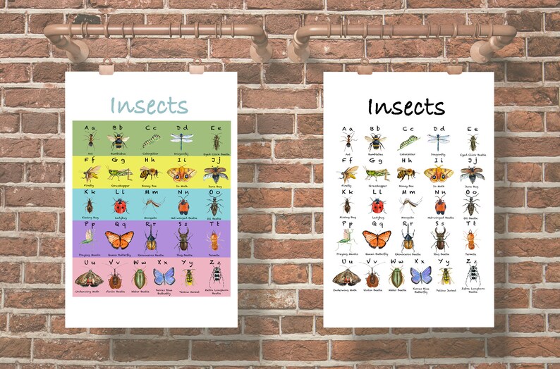 Watercolor Insects ABC Posters - Etsy