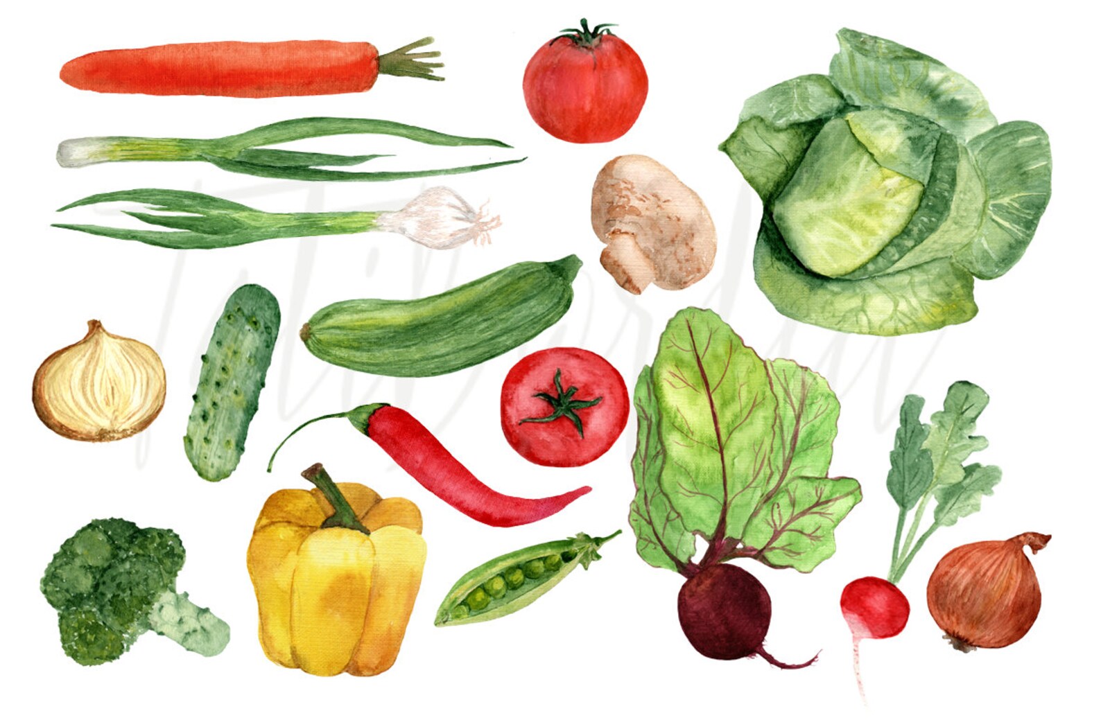 17 Watercolor Vegetables Clip Art - Etsy