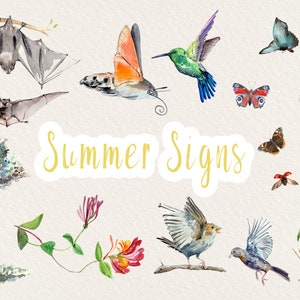 Summer Signs Watercolor Clip Art Set | Etsy