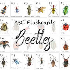 Beetles ABC Flashcards - Etsy